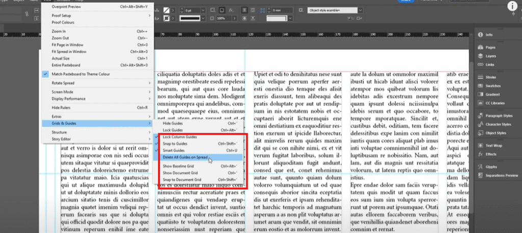 14. How to Use Zoom and Pan Tools in Adobe InDesign Effectively ...