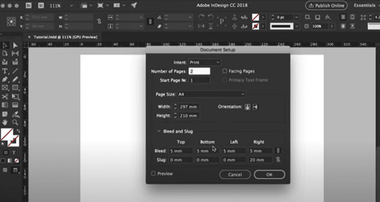 How to Create an Interactive Quiz in Adobe InDesign (Step-by-Step Guide) - Digital Tech ...
